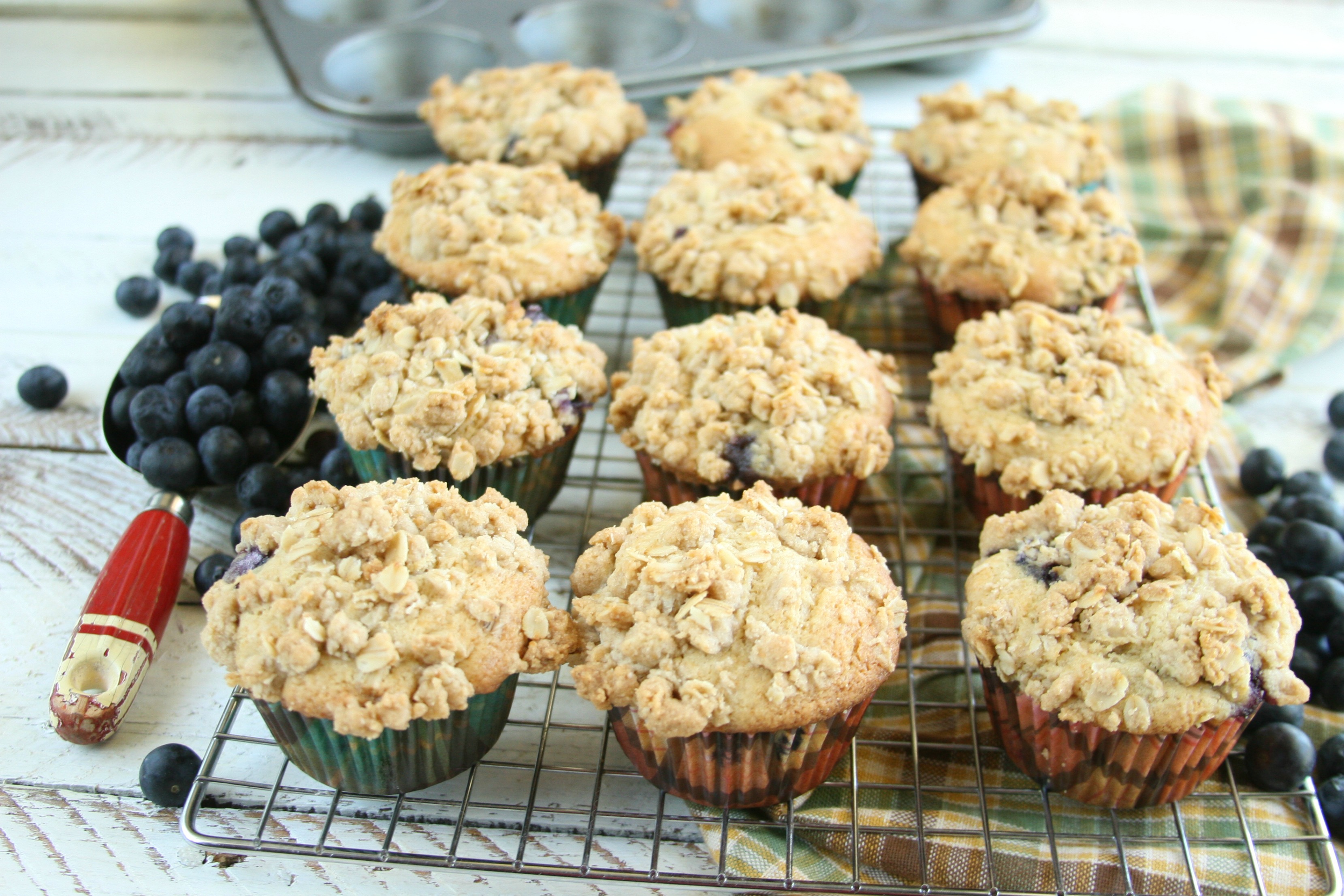 Rustic Blueberry Muffins with Streusel Topping - A Farmgirl's Kitchen