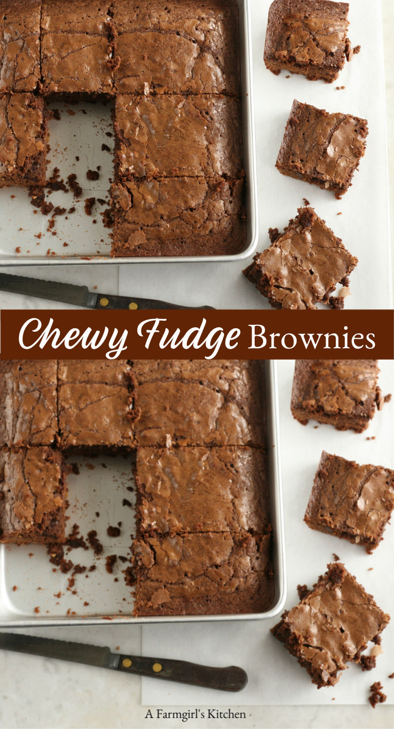 Chewy Brownies Recipe (Made in one bowl!) | A Farmgirl's Kitchen