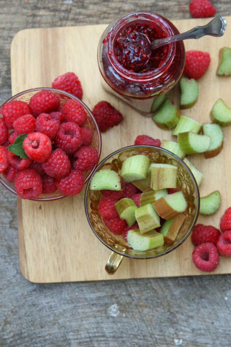 Raspberry Rhubarb Jam Recipe | A Farmgirl's Kitchen
