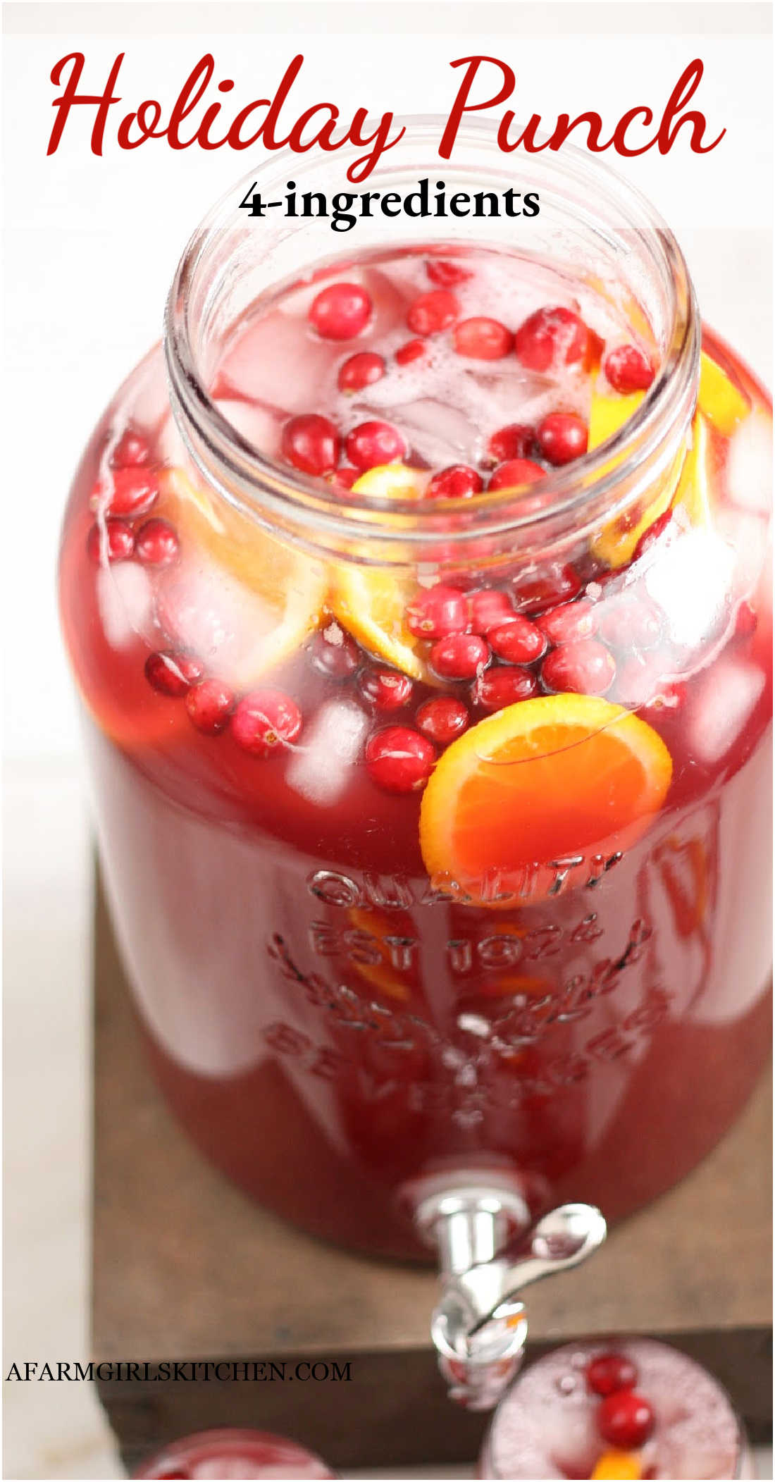 Holiday Punch (Made with 4-ingredients!) | A Farmgirl's Kitchen