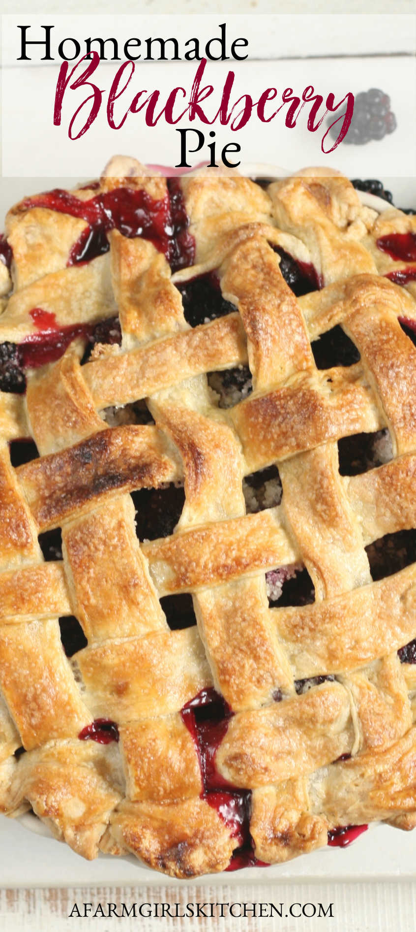 BEST Blackberry Pie Recipe (Homemade Pie Crust) | A Farmgirl's Kitchen