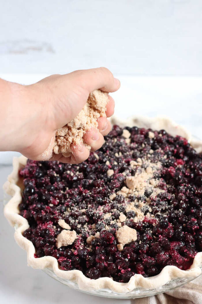 Blueberry Pie with Crumb Topping - A Farmgirl's Kitchen