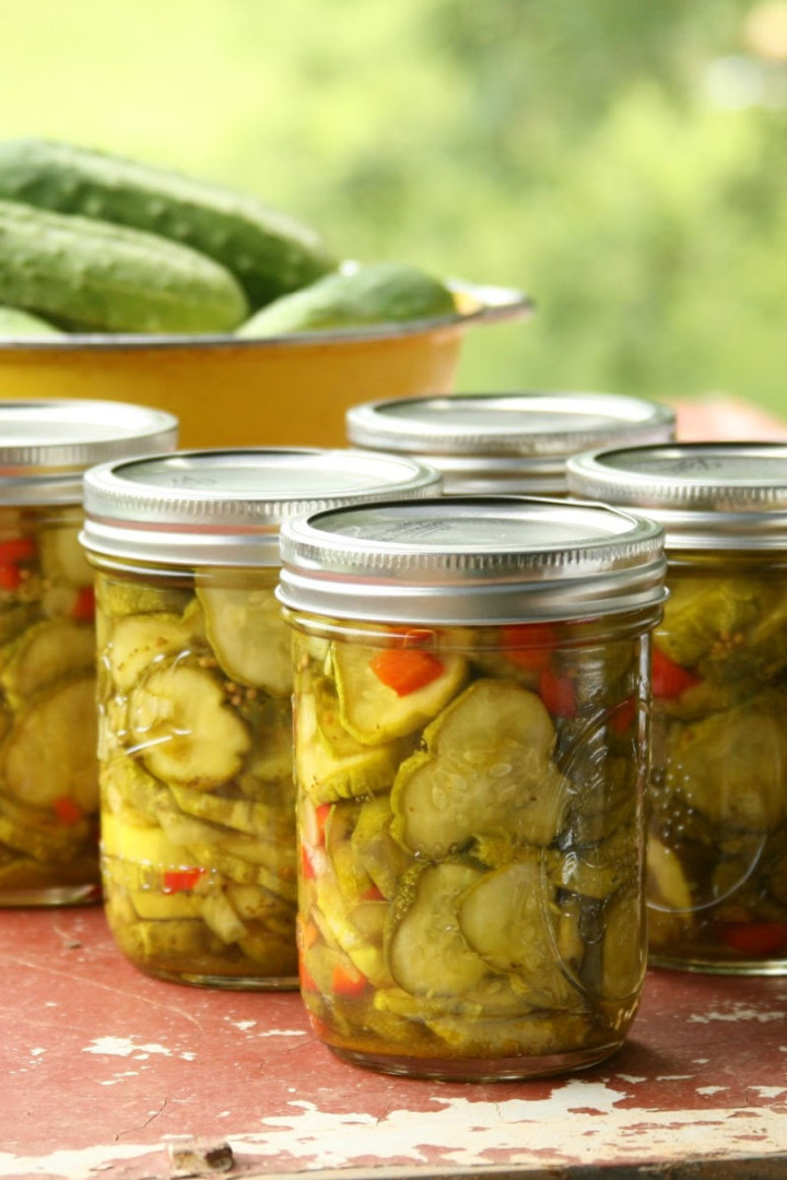 Quick and Easy Refrigerator Dill Pickles | A Farmgirl's Kitchen