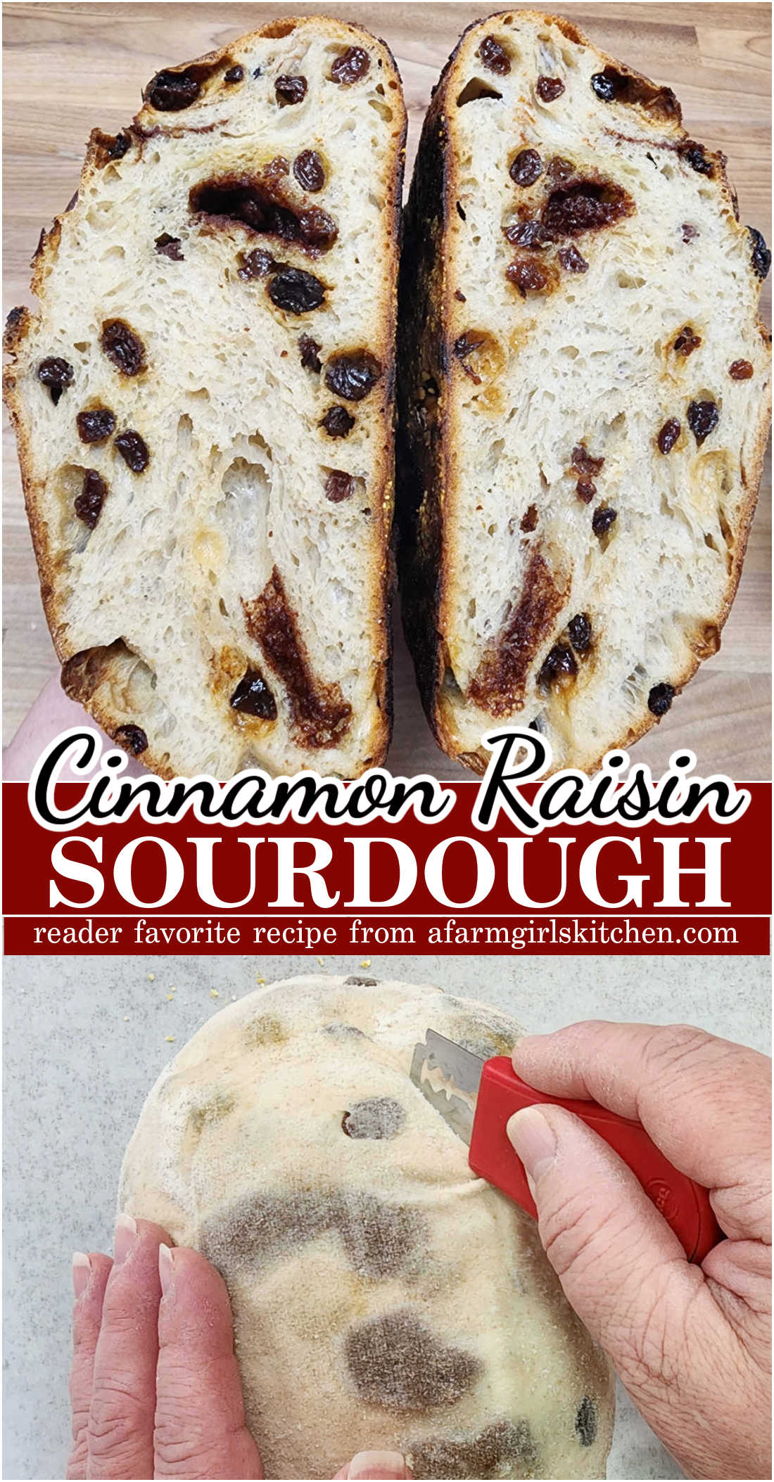 Cinnamon Raisin Sourdough Bread | A Farmgirl's Kitchen